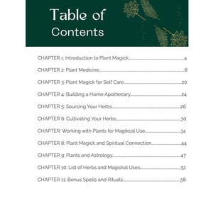 Plant Magick: A Green Witch's Guide to Harnessing the Power of Plants ...
