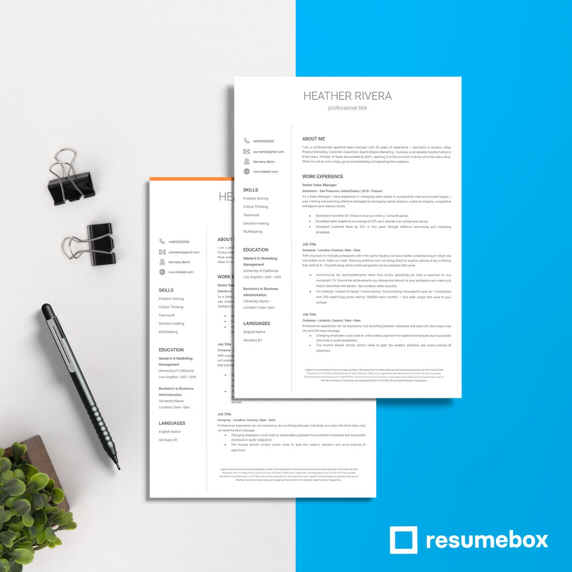 Simple and Effective CV Template 2023 Google Drive Word Windows Mac PC ...