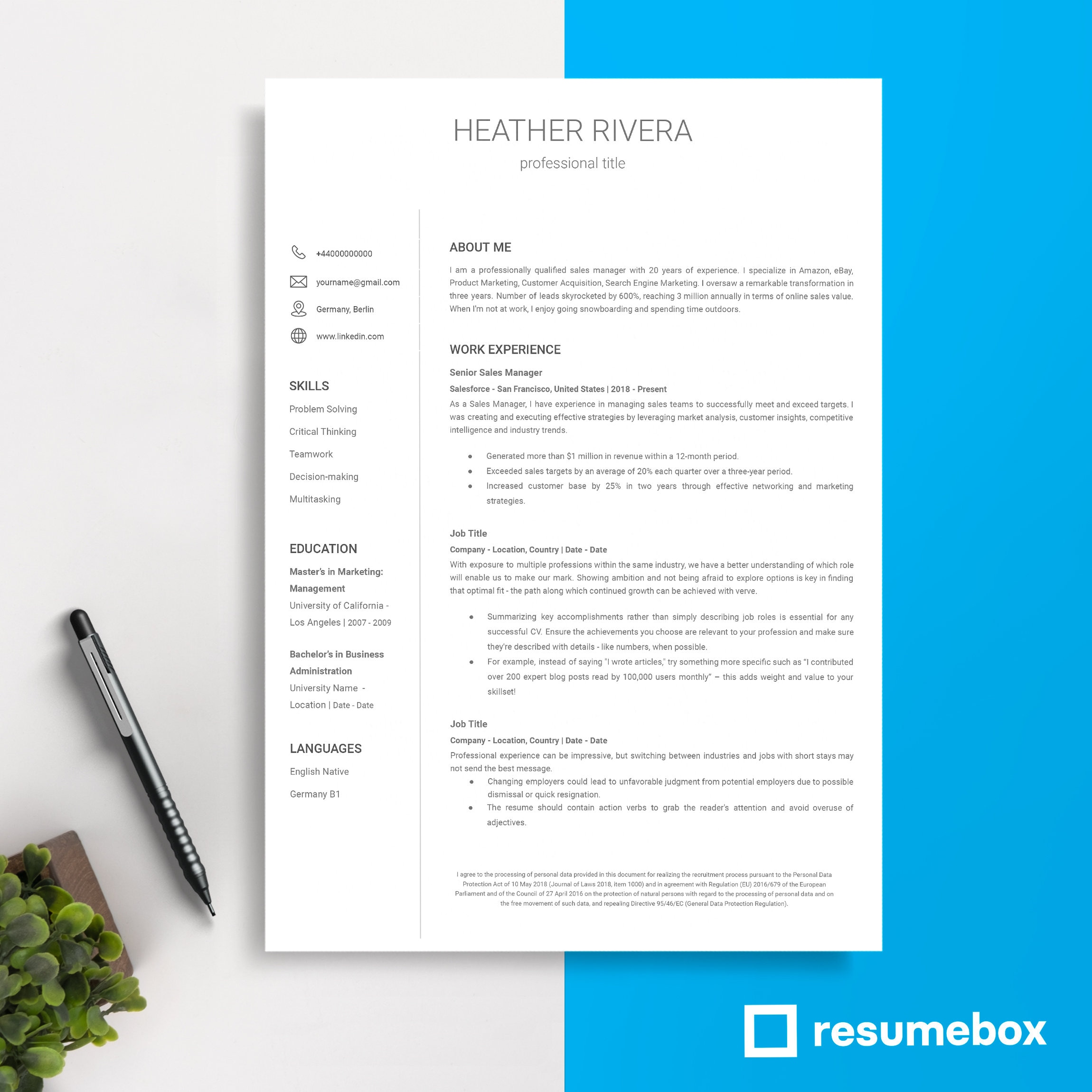 Simple and Effective CV Template 2023 | Google Drive Word Windows Mac PC - Etsy
