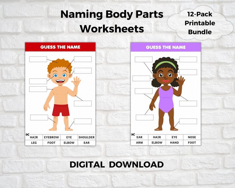 Naming Body Parts Worksheets, Homeschool Educational Worksheet ...