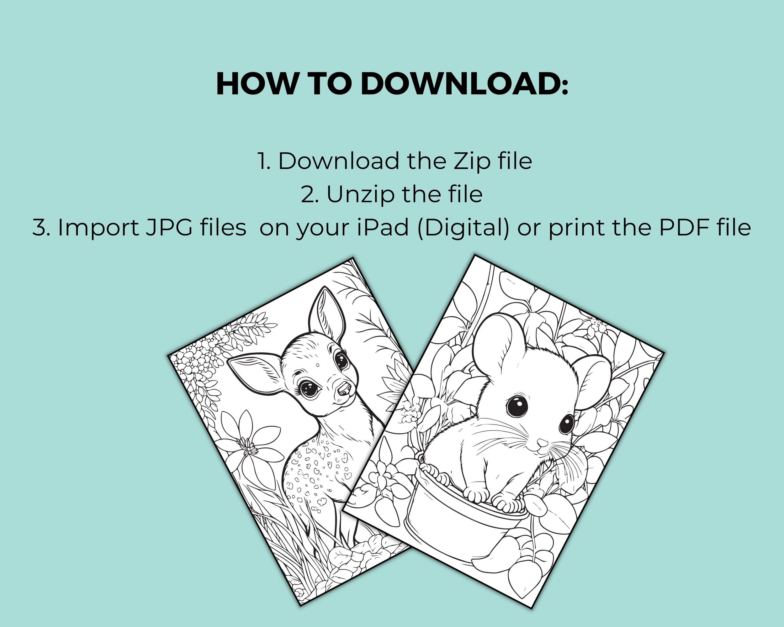40 Animal Coloring Printable Pages, PDF Download, Coloring Pages for ...