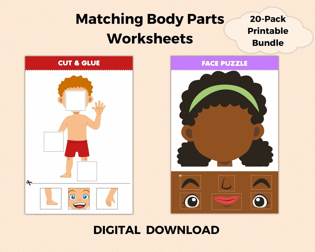 Body Parts Matching Worksheet Activities, Printable Curriculum Helper ...