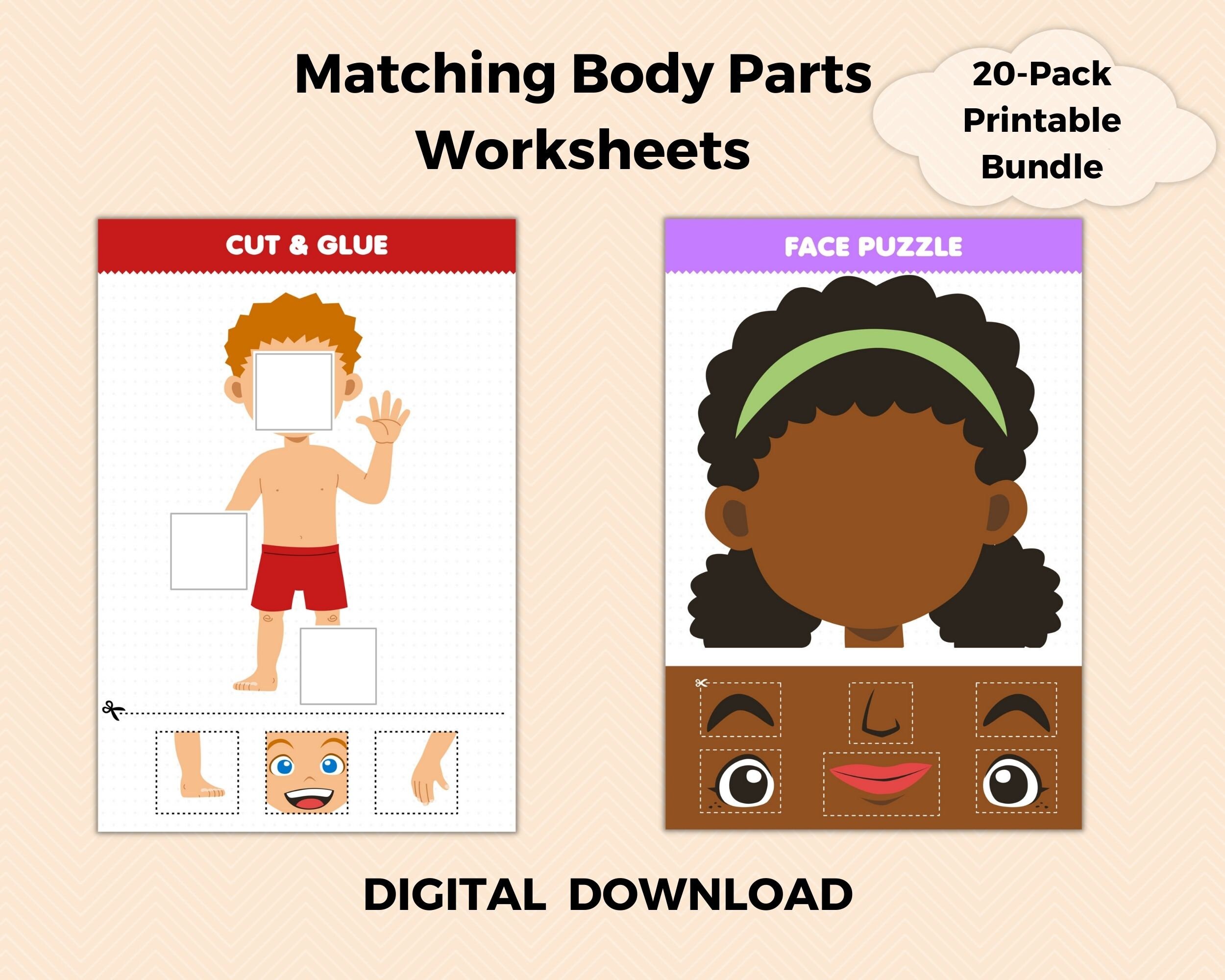 Body Parts Matching Worksheet Activities, Printable Curriculum Helper ...