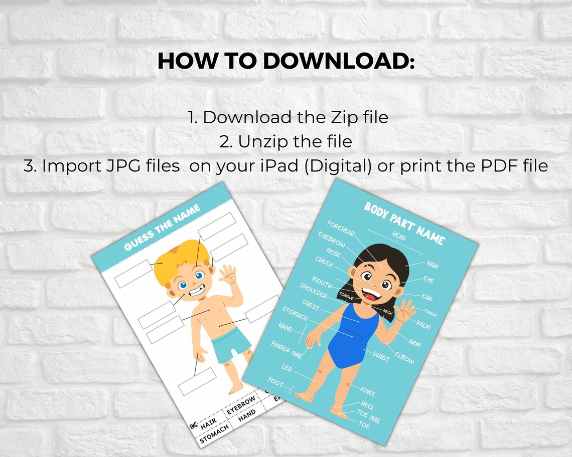 Naming Body Parts Worksheets, Homeschool Educational Worksheet ...