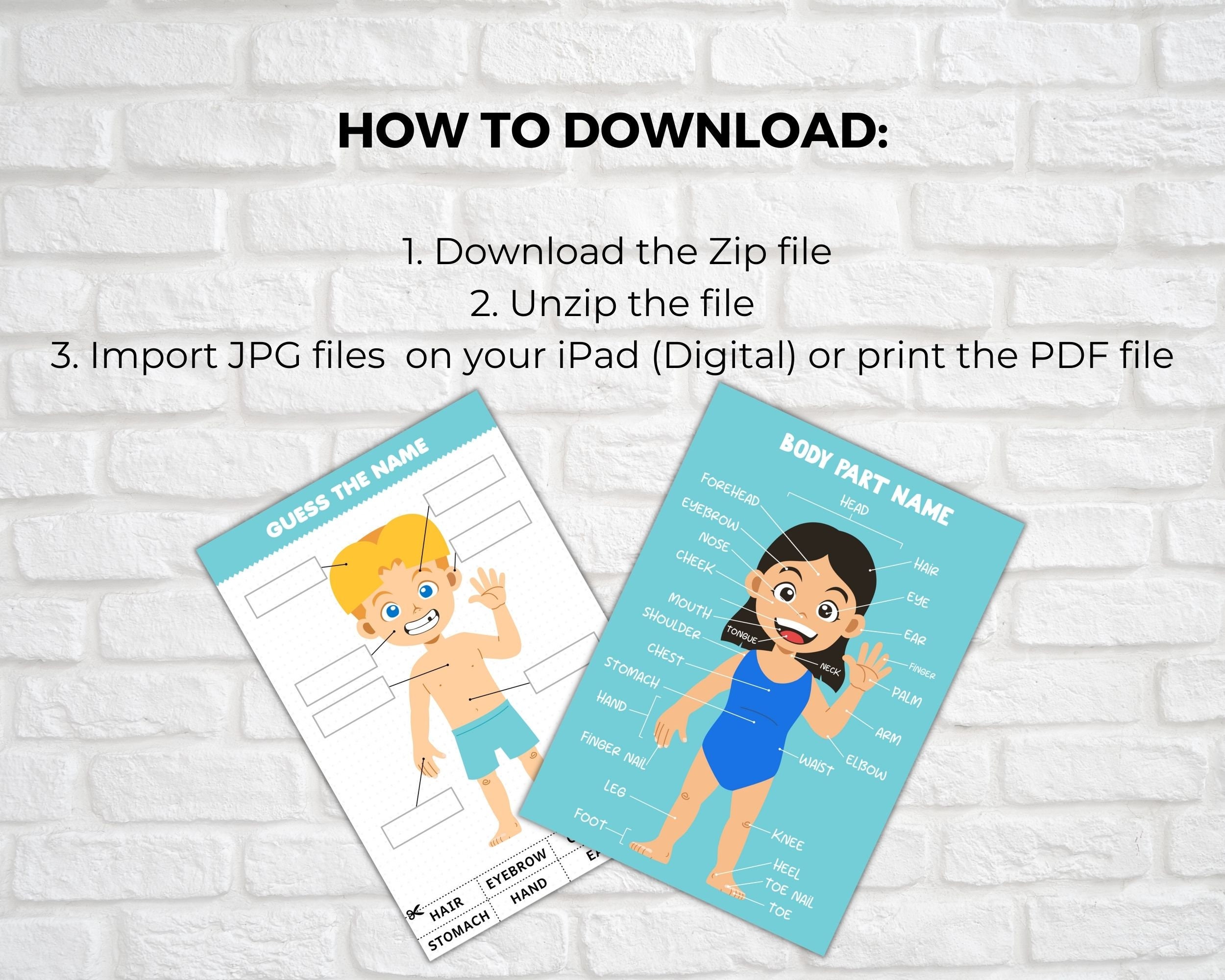 Naming Body Parts Worksheets Homeschool Educational Worksheet