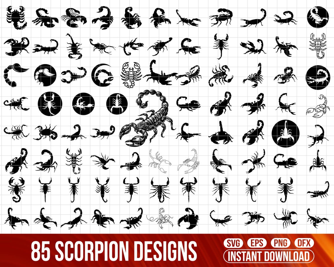 Scorpion SVG Bundle, 85 Designs, Clipart Graphics (digital Download) - Etsy