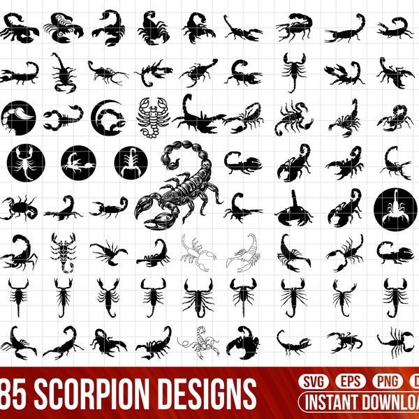 Scorpion - Etsy