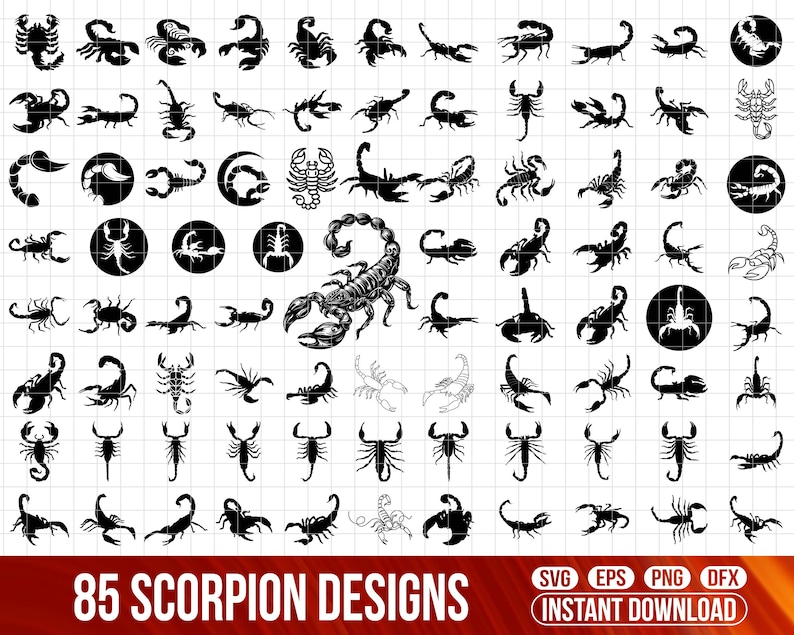 Scorpion SVG Bundle, Scorpion Svg, Scorpion Png, Scorpion Eps, Scorpion ...