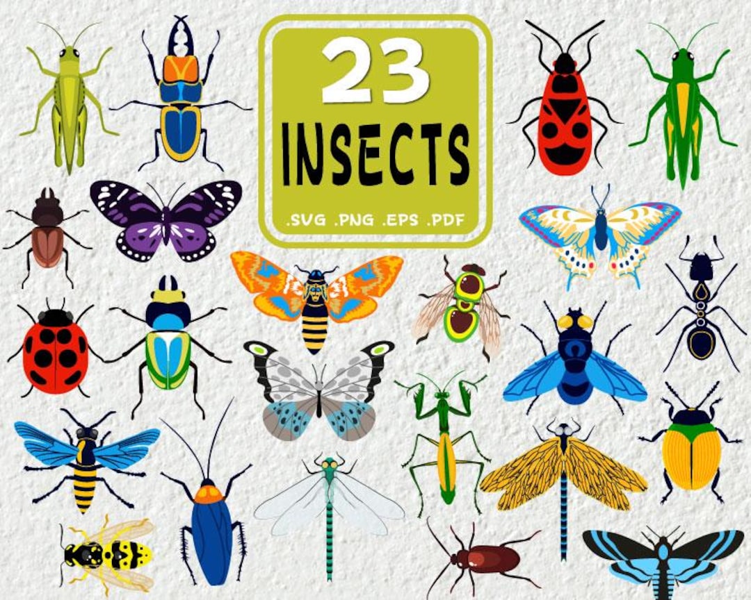 Insect SVG Bundle: Vector Clipart (PNG, PDF) - Etsy
