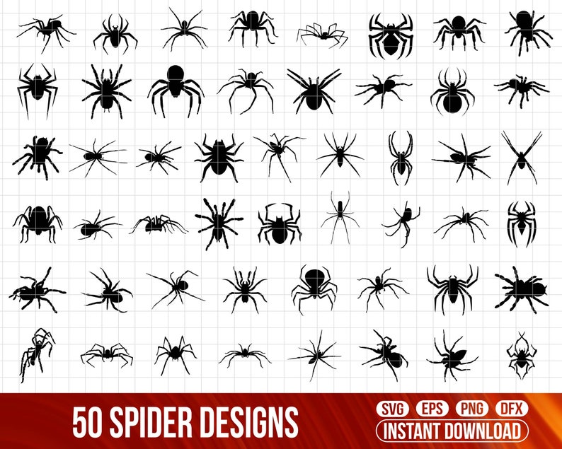 Spider SVG Bundle, Spider SVG, Tarantula SVG, Spider Design, Spider Cut ...