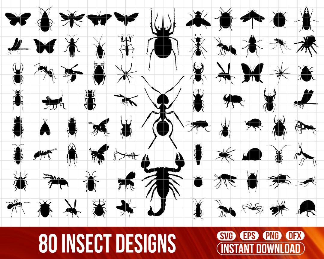 Insect SVG Bundle, Insects Svg, Insect Silhouette, Insect Png, Insect ...
