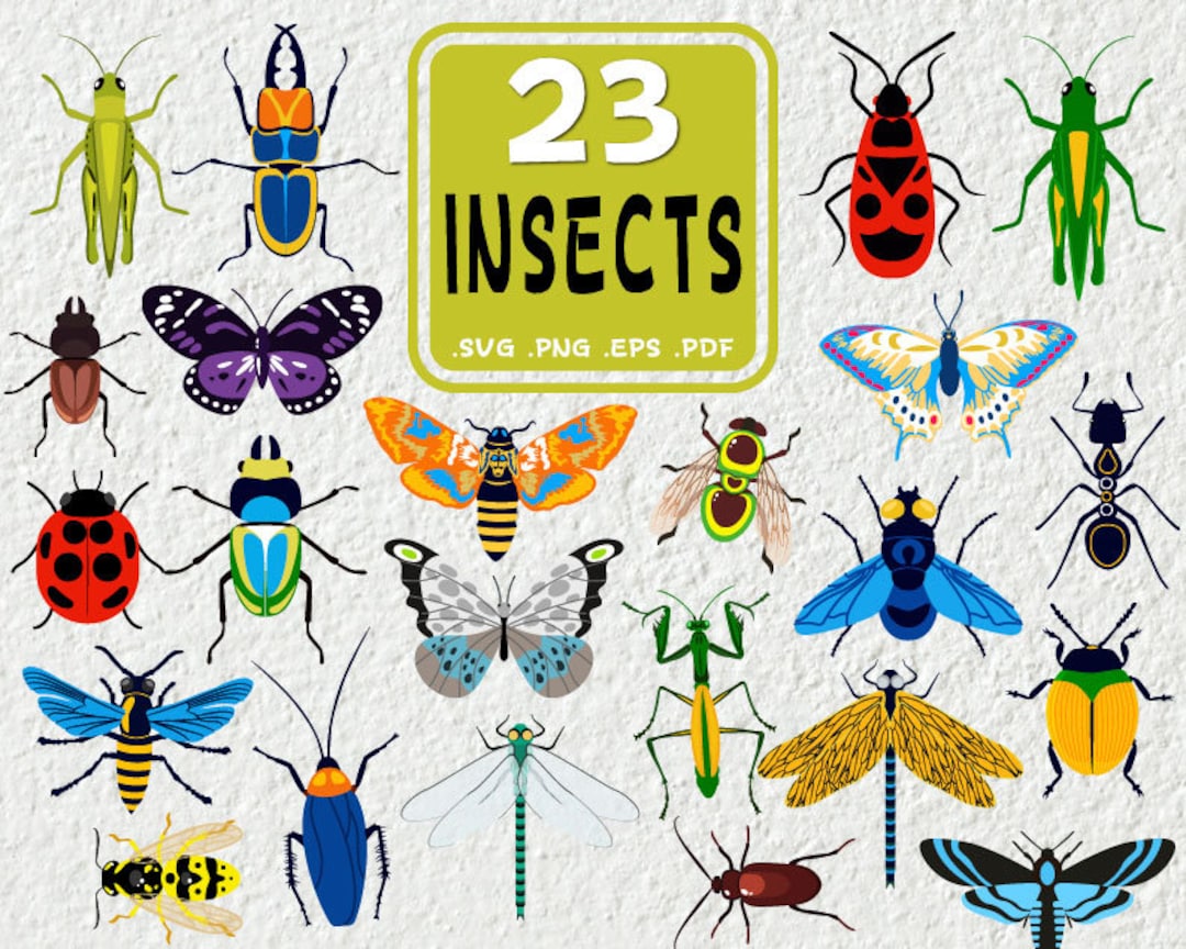 Insect SVG Bundle Insect Clipart Bee Svg Dragonfly Svg - Etsy Australia