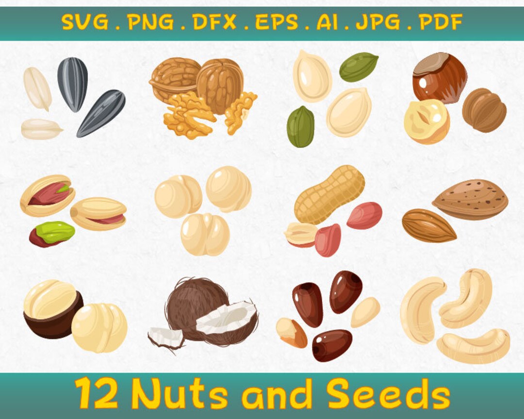 Nut Svg Bundle nuts Svg Nutcracker Svgmacadamia Svg - Etsy