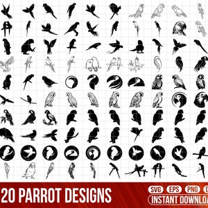 120 Parrot Svg, Parrot Svg Bundle, Parrot Svg Cut Files, Parrot Clipart ...