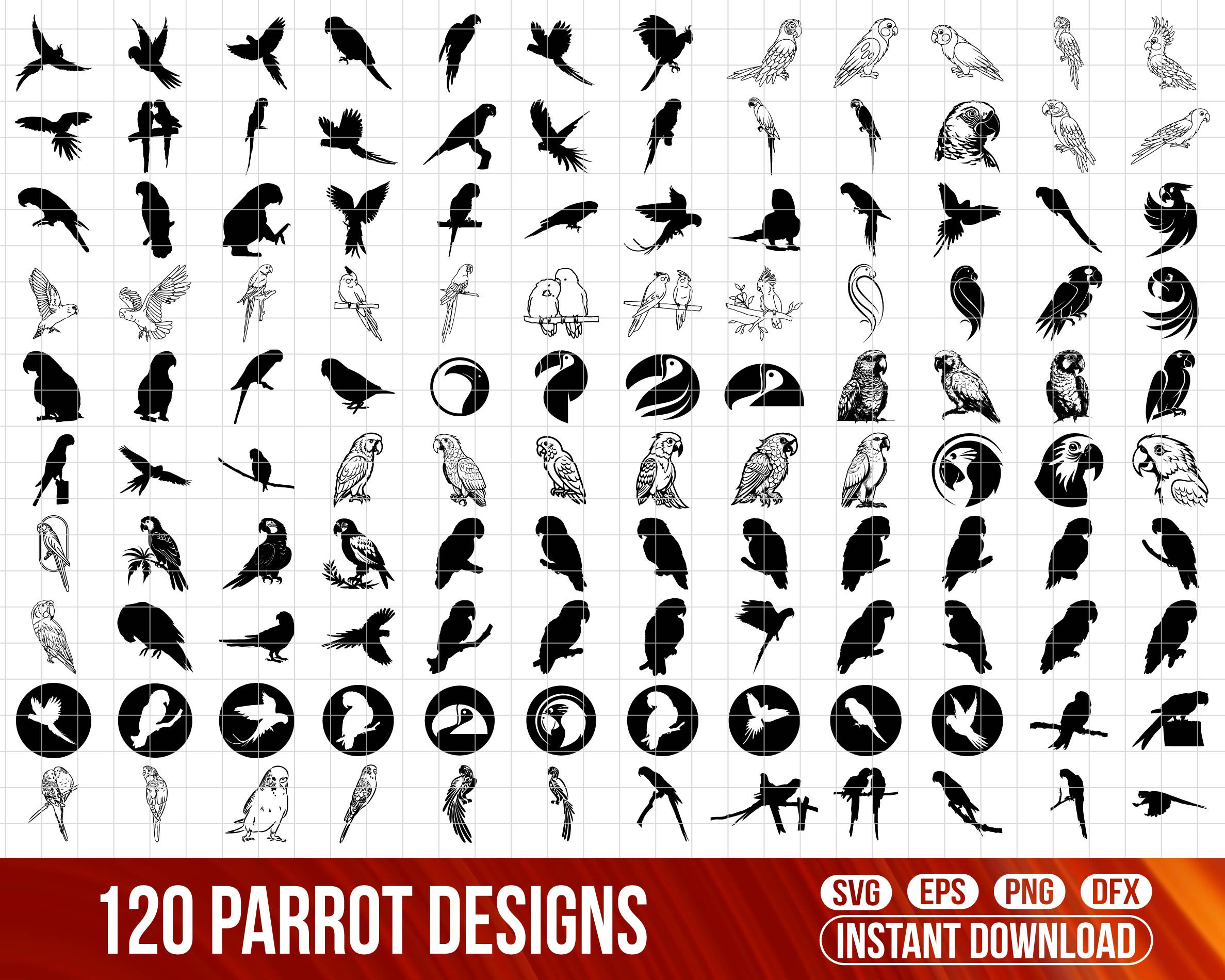 120 Parrot Svg, Parrot Svg Bundle, Parrot Svg Cut Files, Parrot Clipart ...