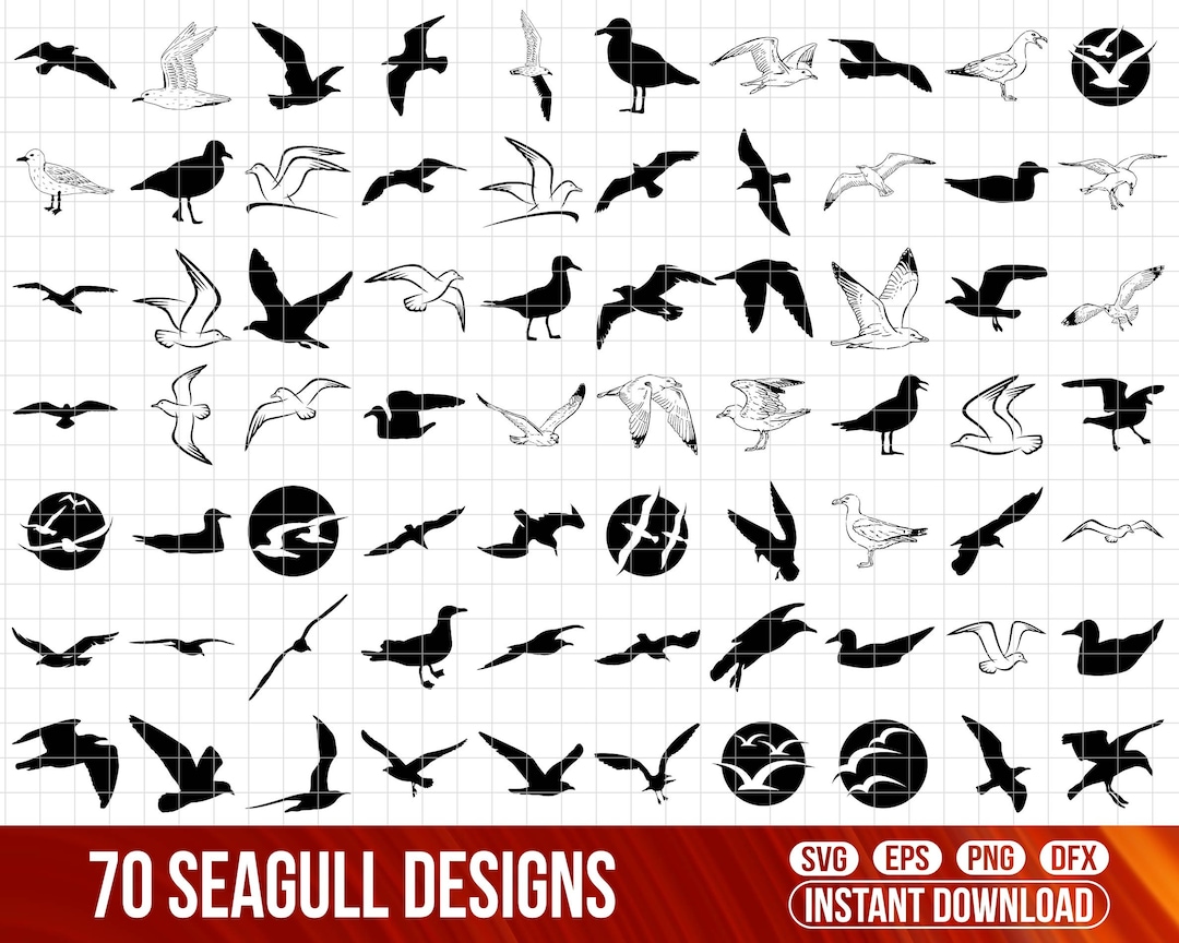 Seagull SVG Bundle, Seagull Svg, Seagull Clipart, Seagull SVG Cut Files ...