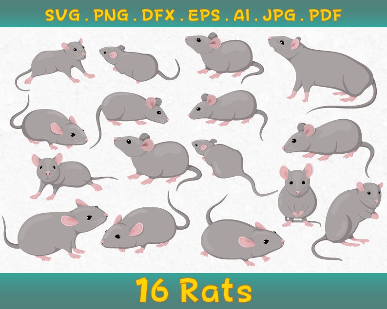 Rats Svg Rat Png Rat Dfx Rat Eps Rat Eps Rat Vector Rat - Etsy