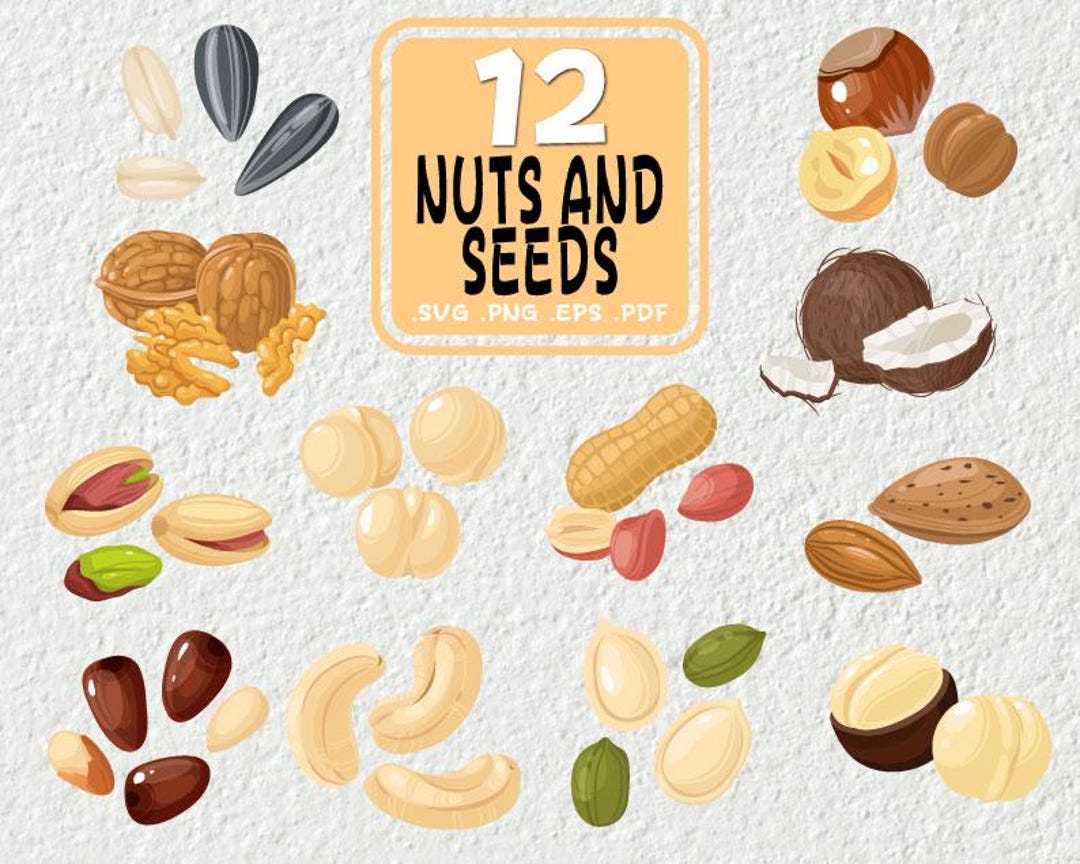 Nuts Svg Bundle, Nut Svg, Nuts Eps, Walnut Svg, Peanut Svg, Almond Svg ...