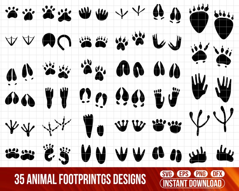 35 Animal Footprints SVG Bundle, Wildlife Cut Files (digital Download ...