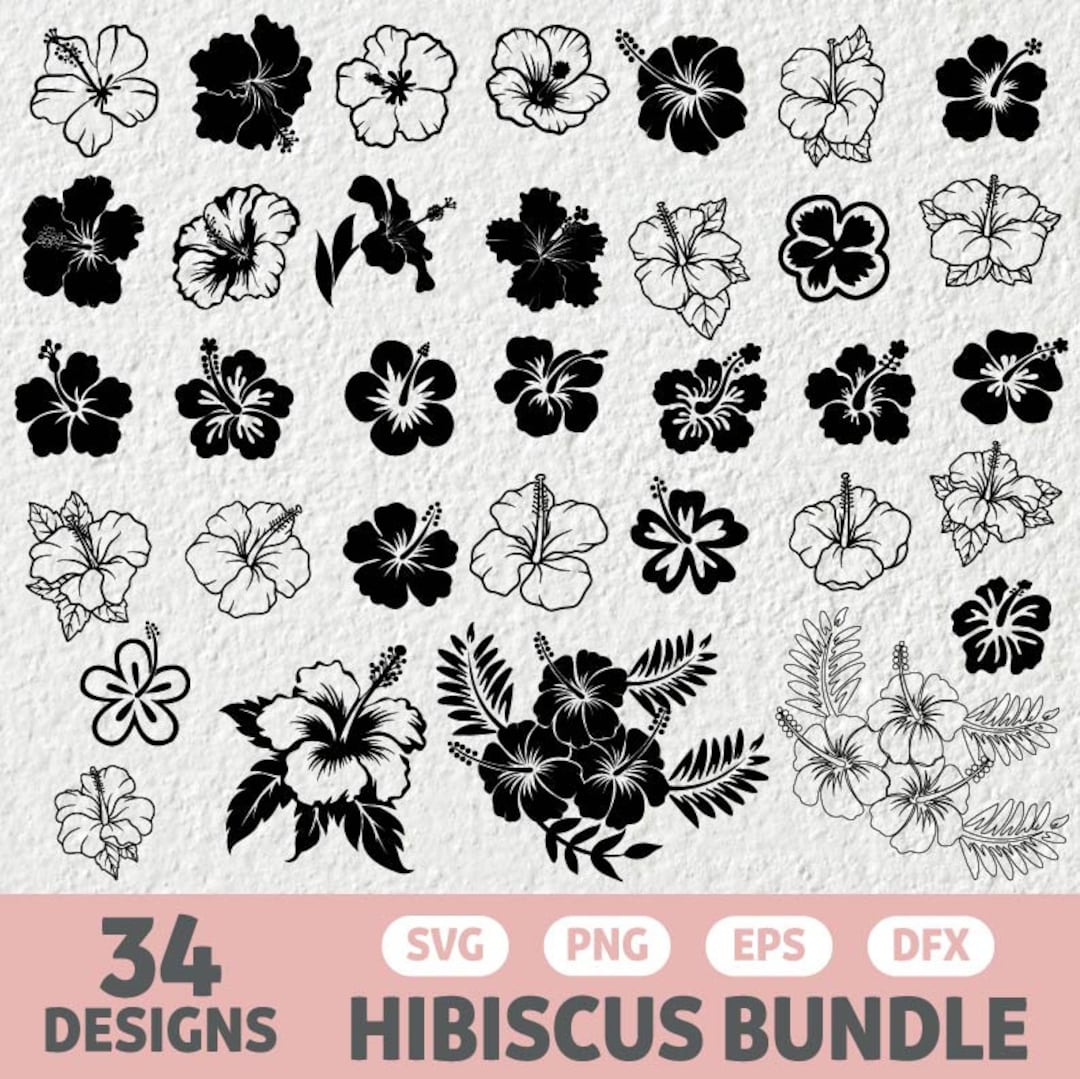 HIBISCUS SVG Bundle, HIBISCUS Svg Cut Files for Cricut, Hibiscus ...
