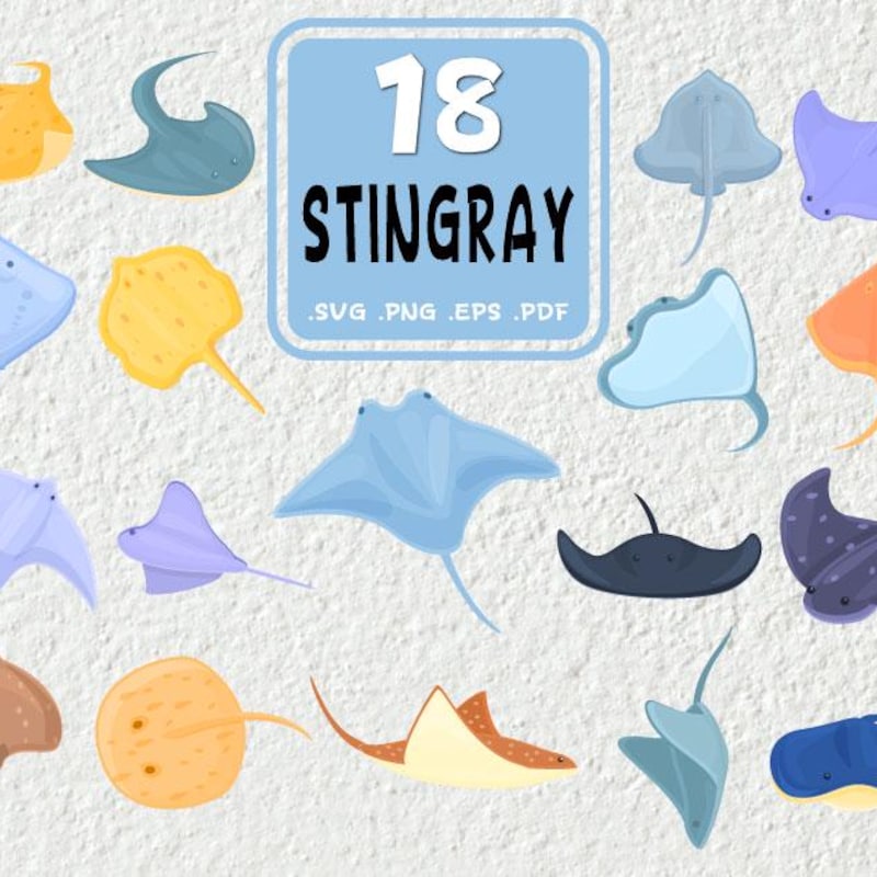 Stingray Vector Art - Etsy
