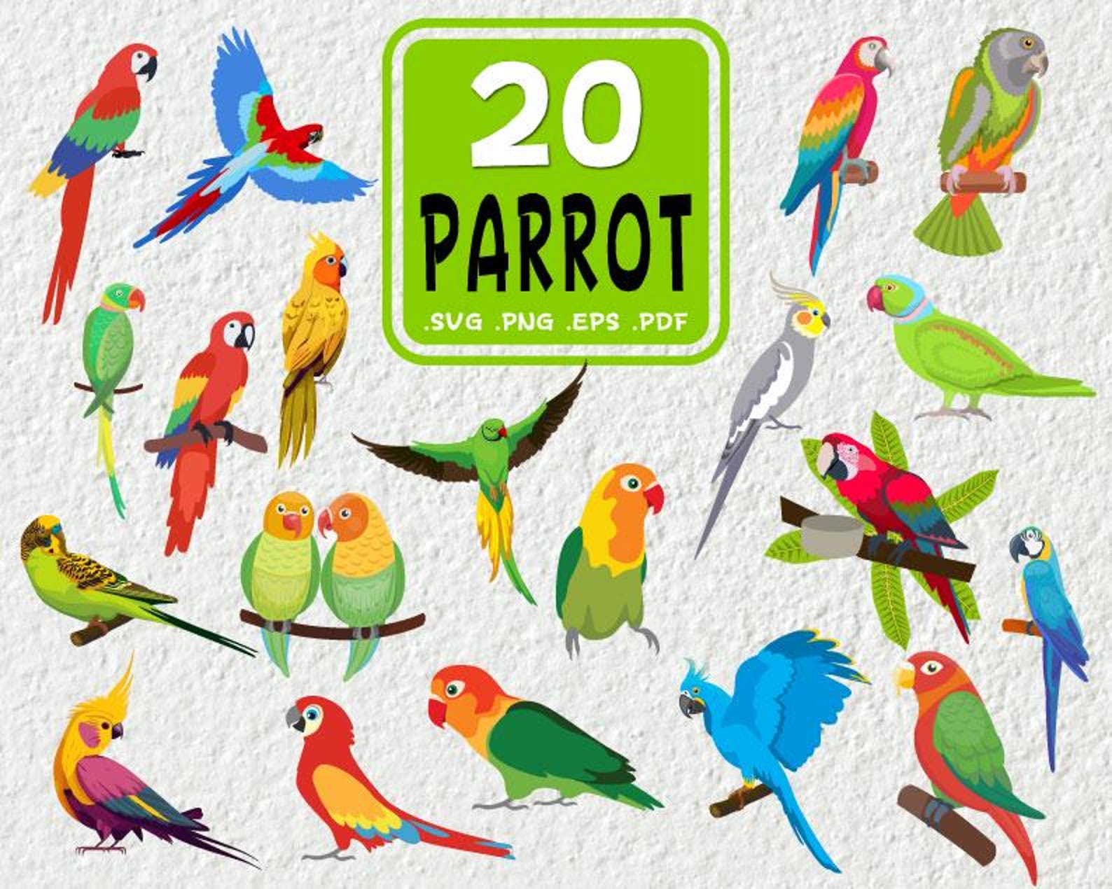 Parrot Svg Bundle, Parakeet Svg , Cute Parrot Svg, Chick Svg, Parrot ...