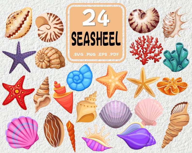 Seashell SVG Bundle, Seashell Cricut, Seashell Cut Files, Seashell ...