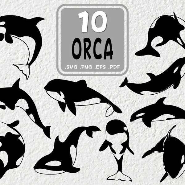 Orca - Etsy