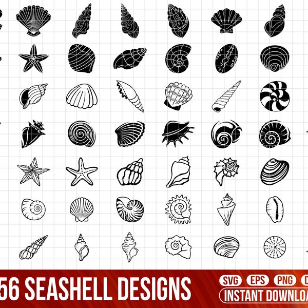 Shell Svg - Etsy