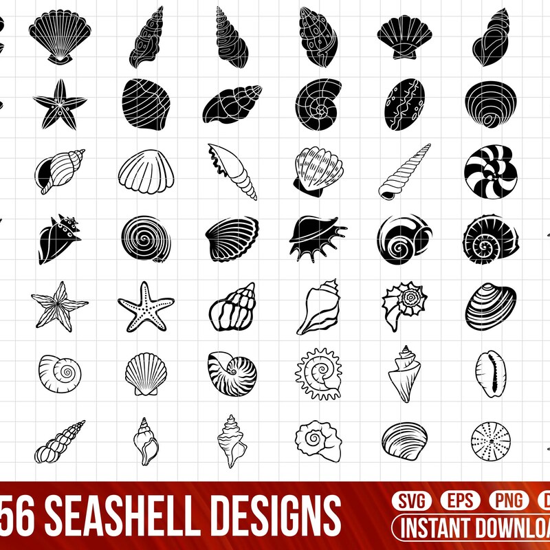 Shell Svg - Etsy