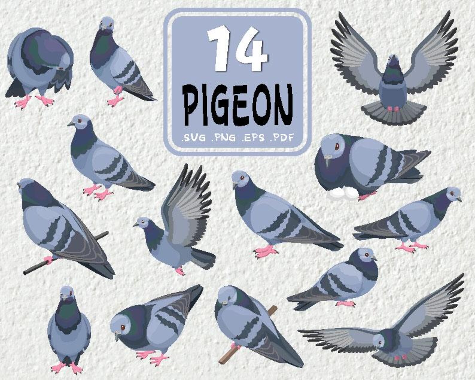 Pigeon Svg Bundle, Dove Svg Bundle, Pigeon Clipart, Pigeon Vector ...