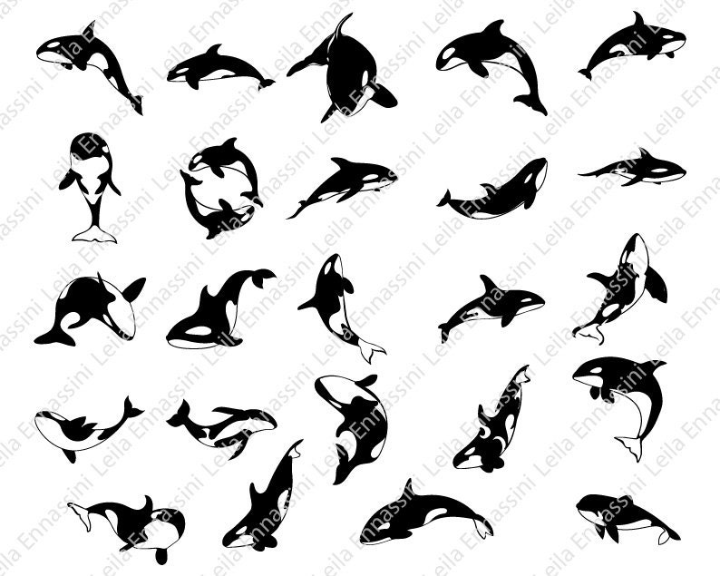 Orca SVG Bundle Orca SVG for Cricut Orca Png Orca Vector - Etsy