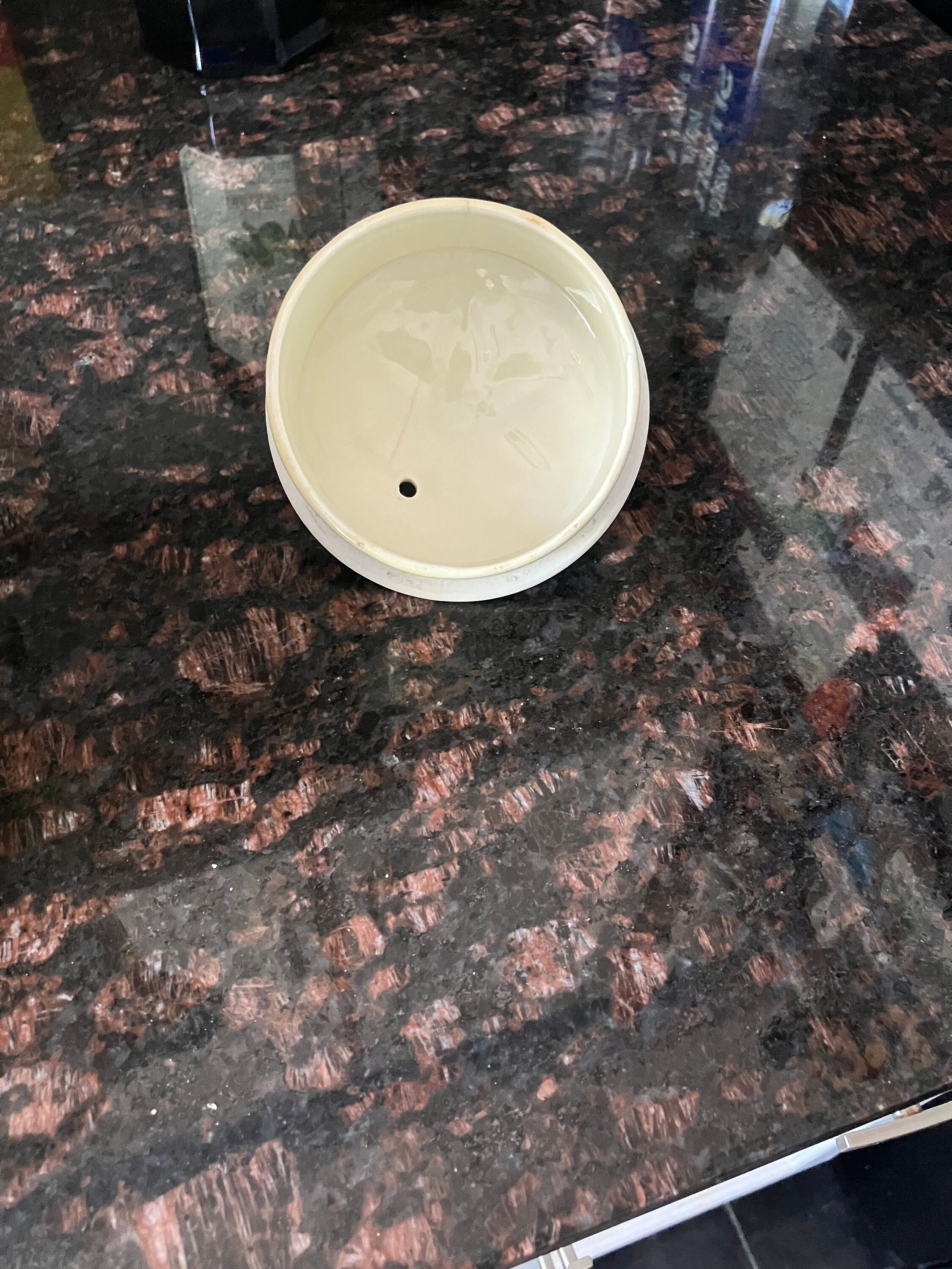 Vintage Jewel Tea Autumn Leaf Coffee/tea Pitcher With Lid - Etsy