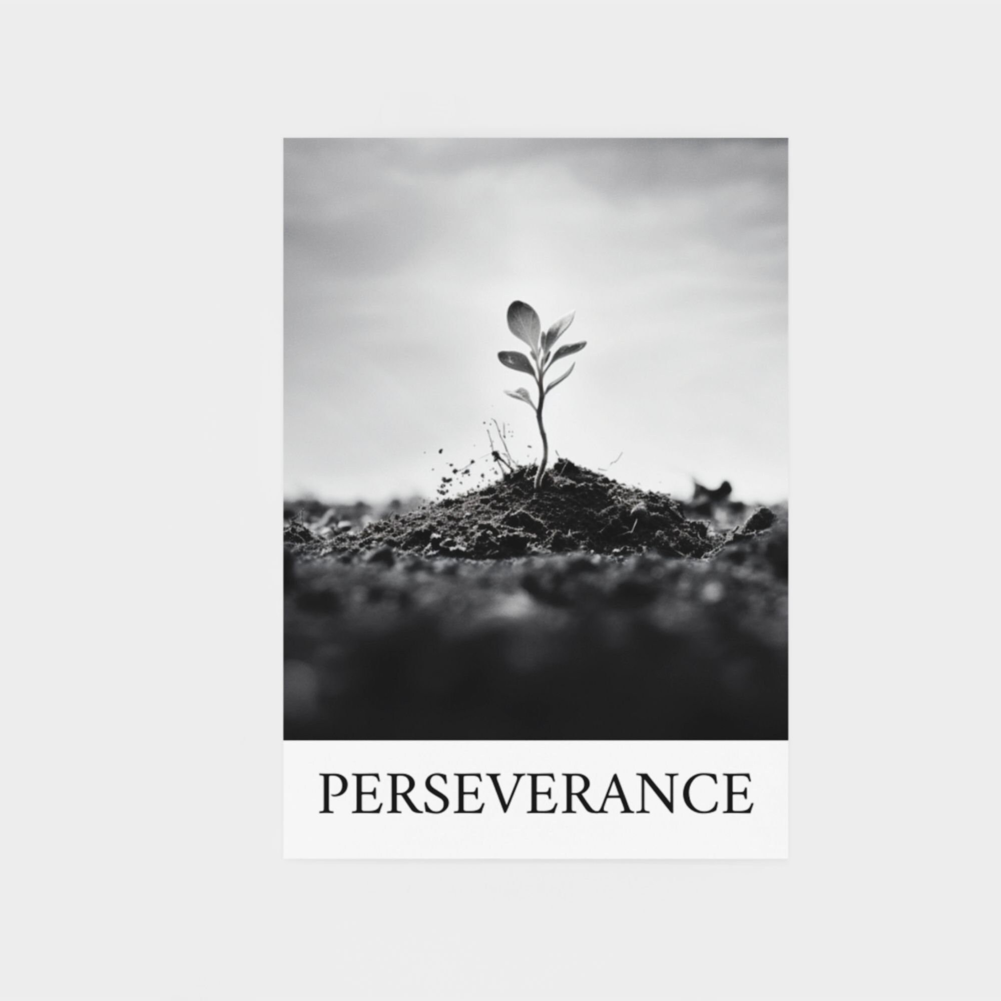 Perseverance Motivation Poster Sprouting Seedling Print Poster ...
