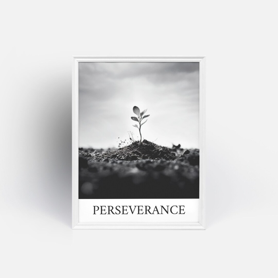 Perseverance Motivation Poster Sprouting Seedling Print Poster ...