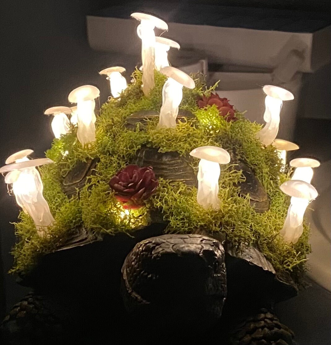 Mushroom Turtle - Etsy