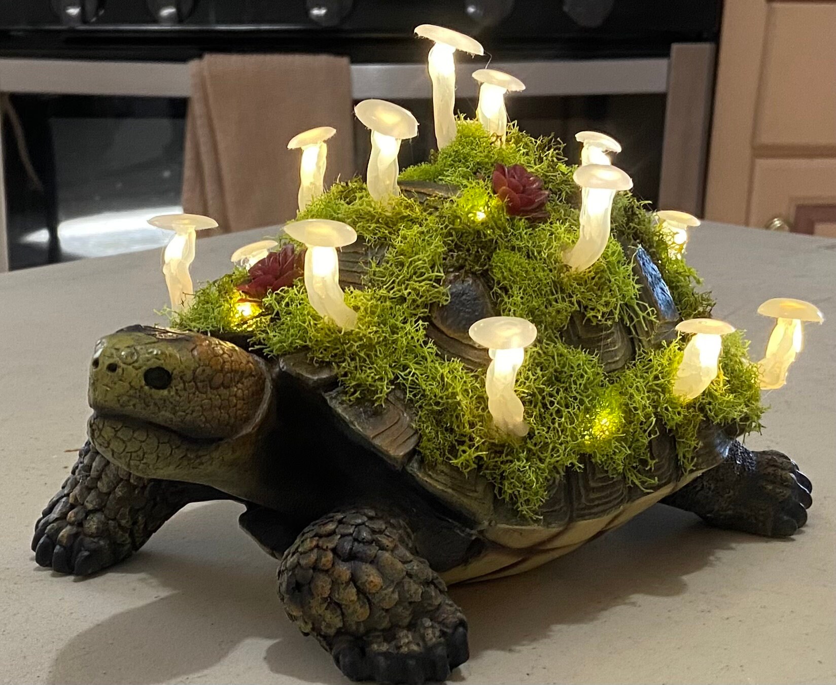 Mushroom Turtle - Etsy