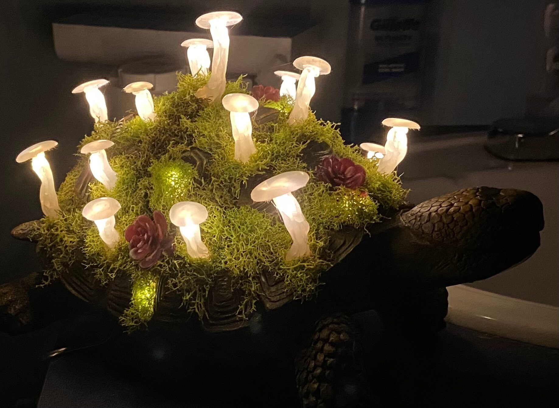 Mushroom Turtle - Etsy