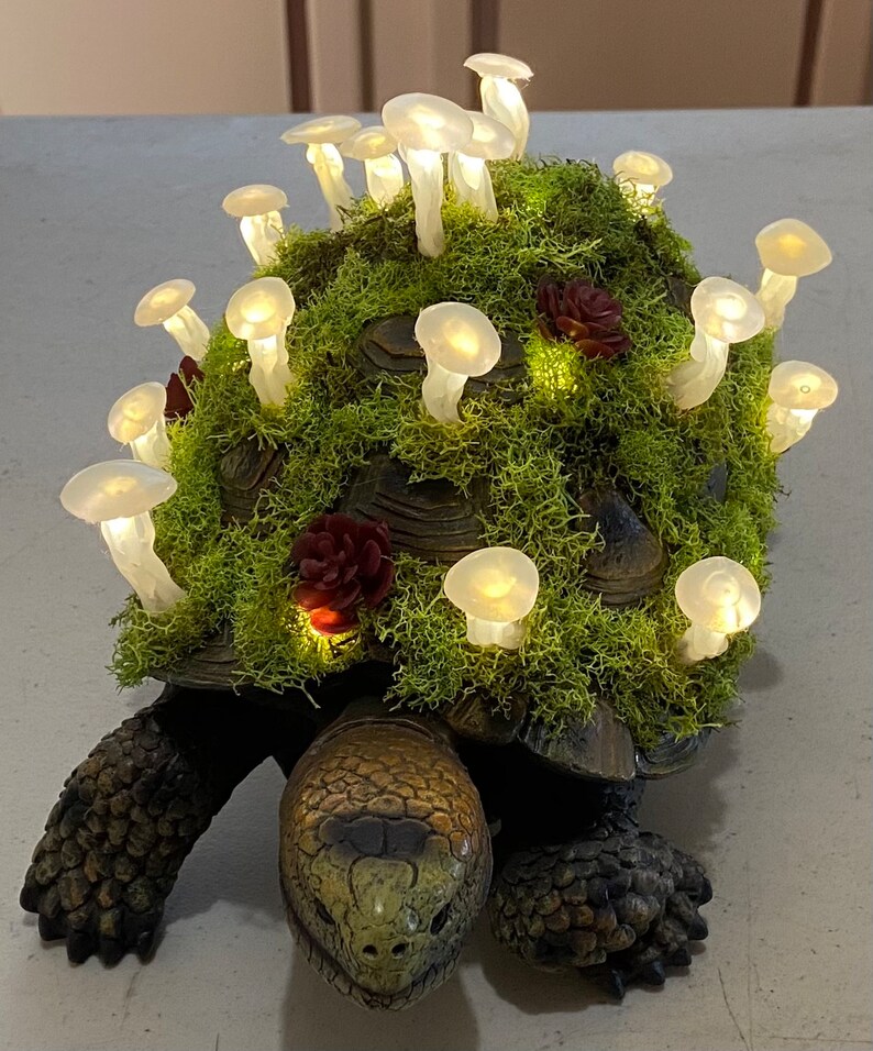 Mushroom Turtle - Etsy
