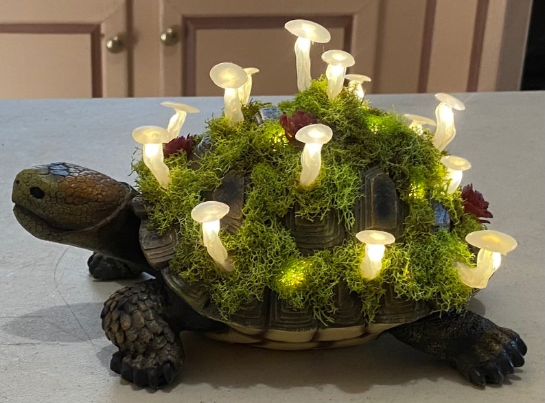 Mushroom Turtle - Etsy