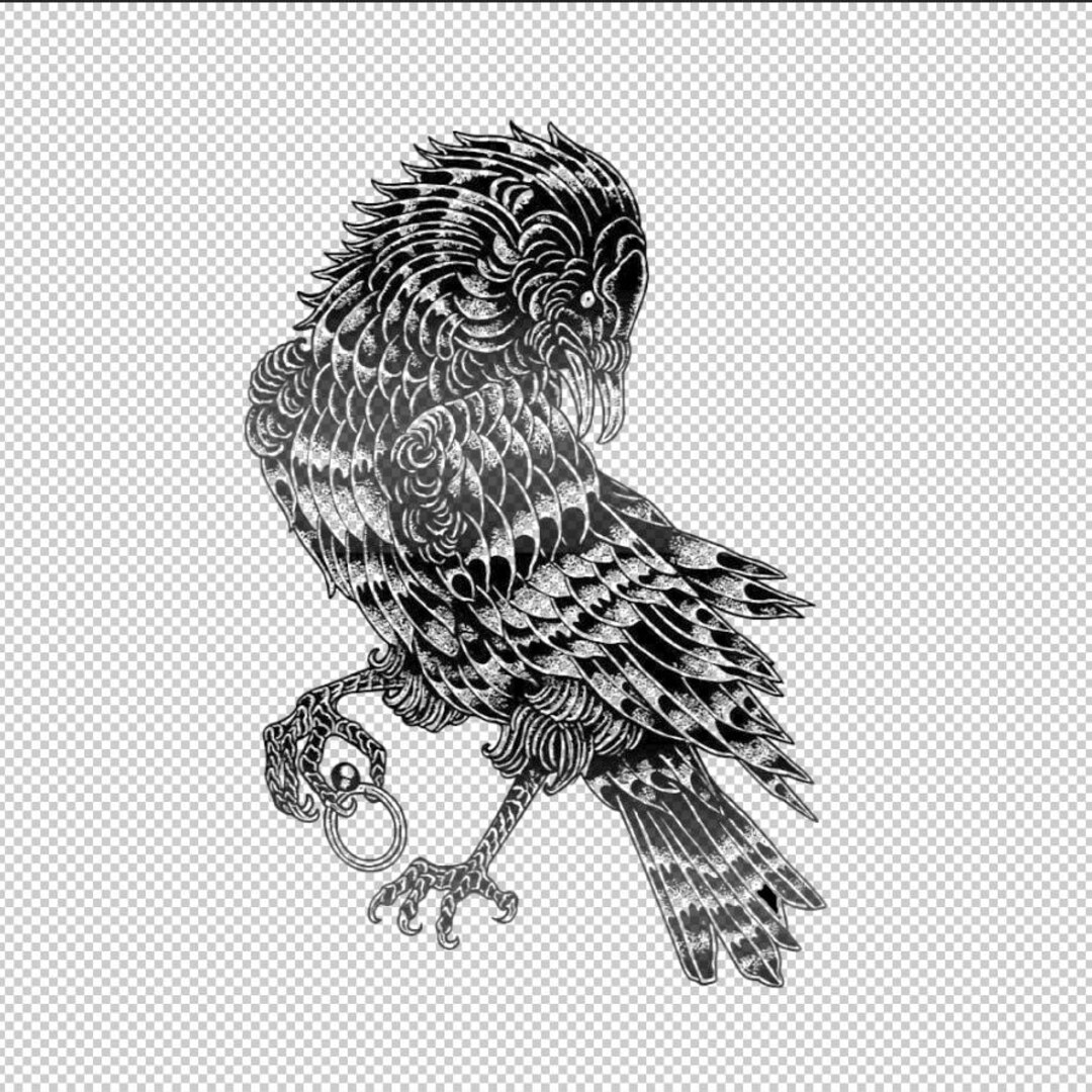 RHYSAND Bird Png, Transparent Background, Rhysand Beast Form, Photo ...