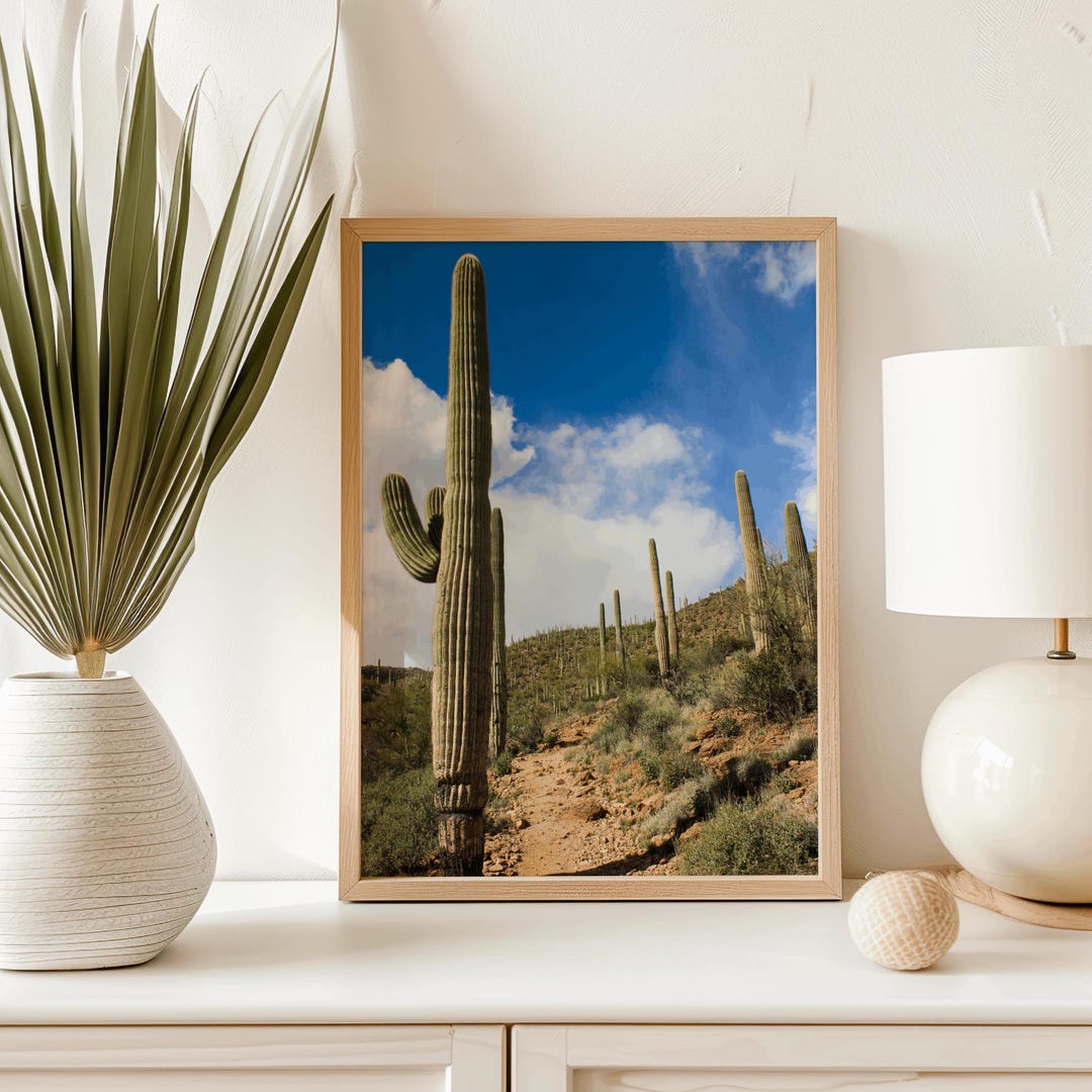 Desert Cactus Tucson Arizona Landscape Photography Print Saguaro ...