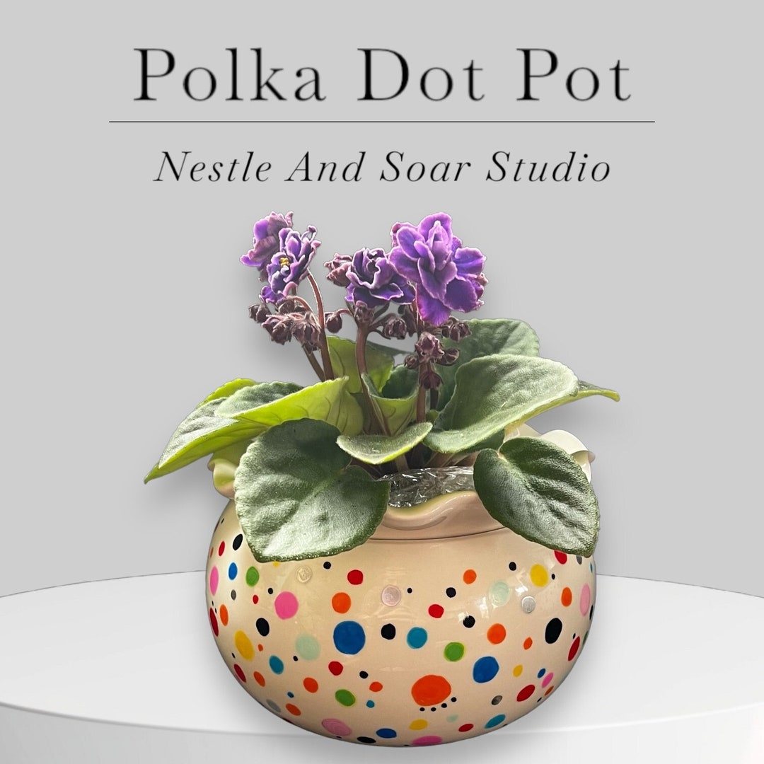 African Violet Indoor Planter | Gifted Plant | Decorator | Hand Painted ...