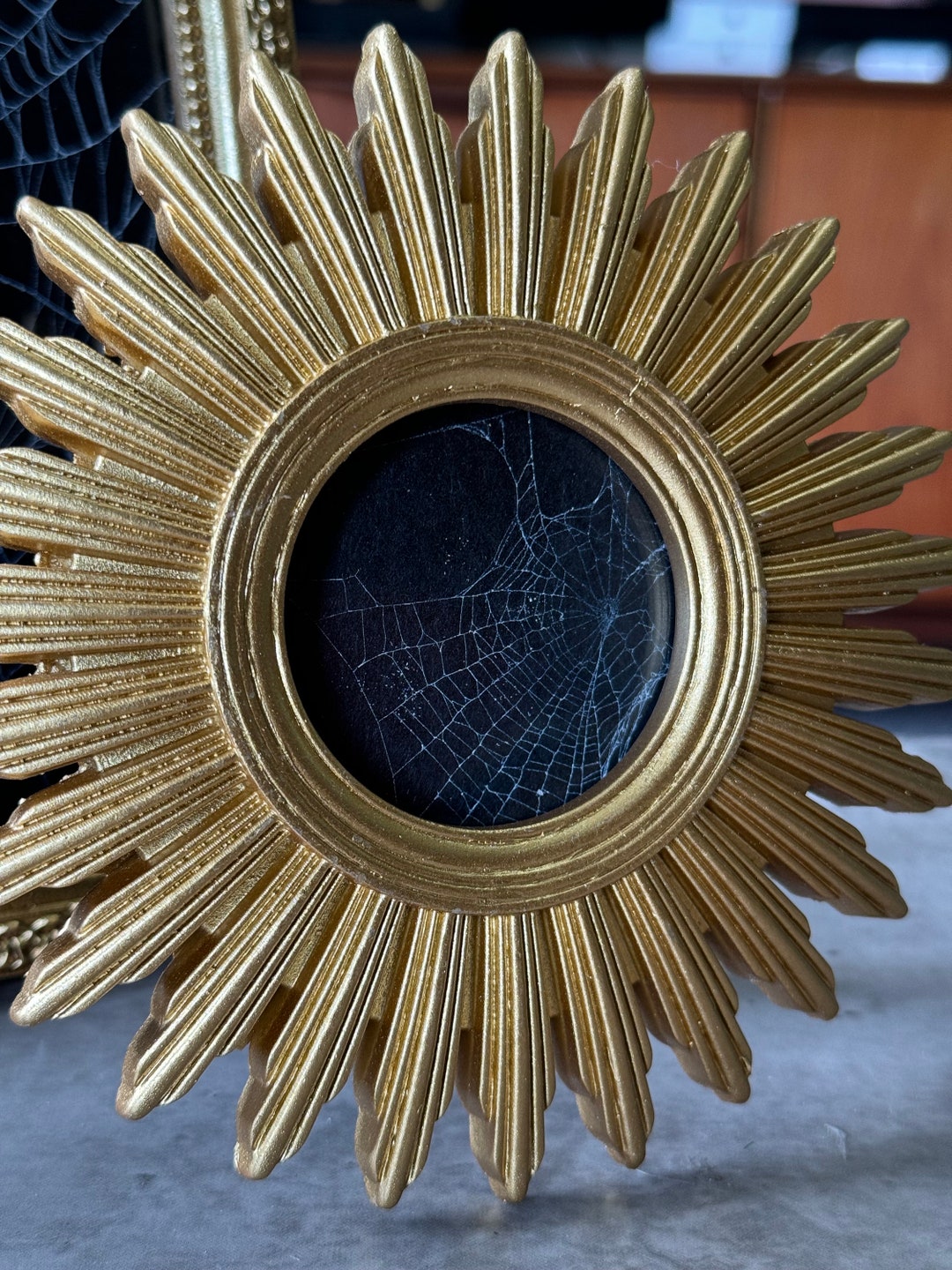 Actual Real Preserved Spiders Web Caught in a Sunburst Round Gold ...