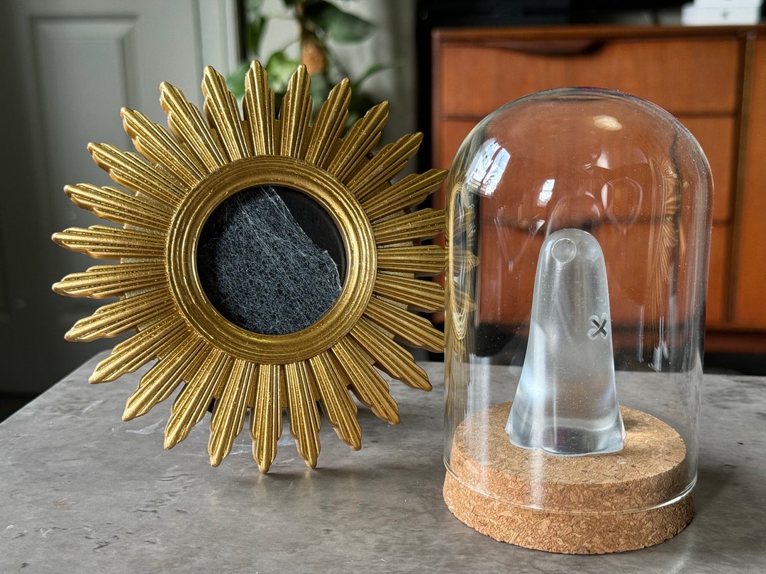 Actual Real Preserved Spiders Web Caught in a Sunburst Round Gold ...