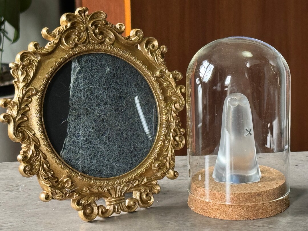 Actual Real Preserved Spiders Web Caught in a Sunburst Round Gold ...