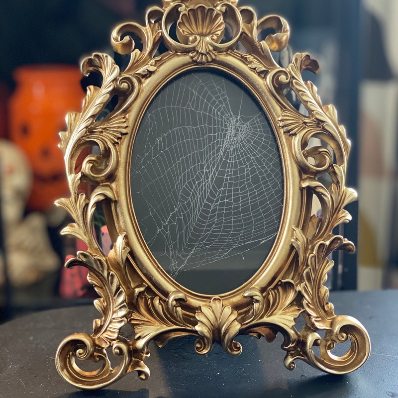 Framed Spider Web - Etsy