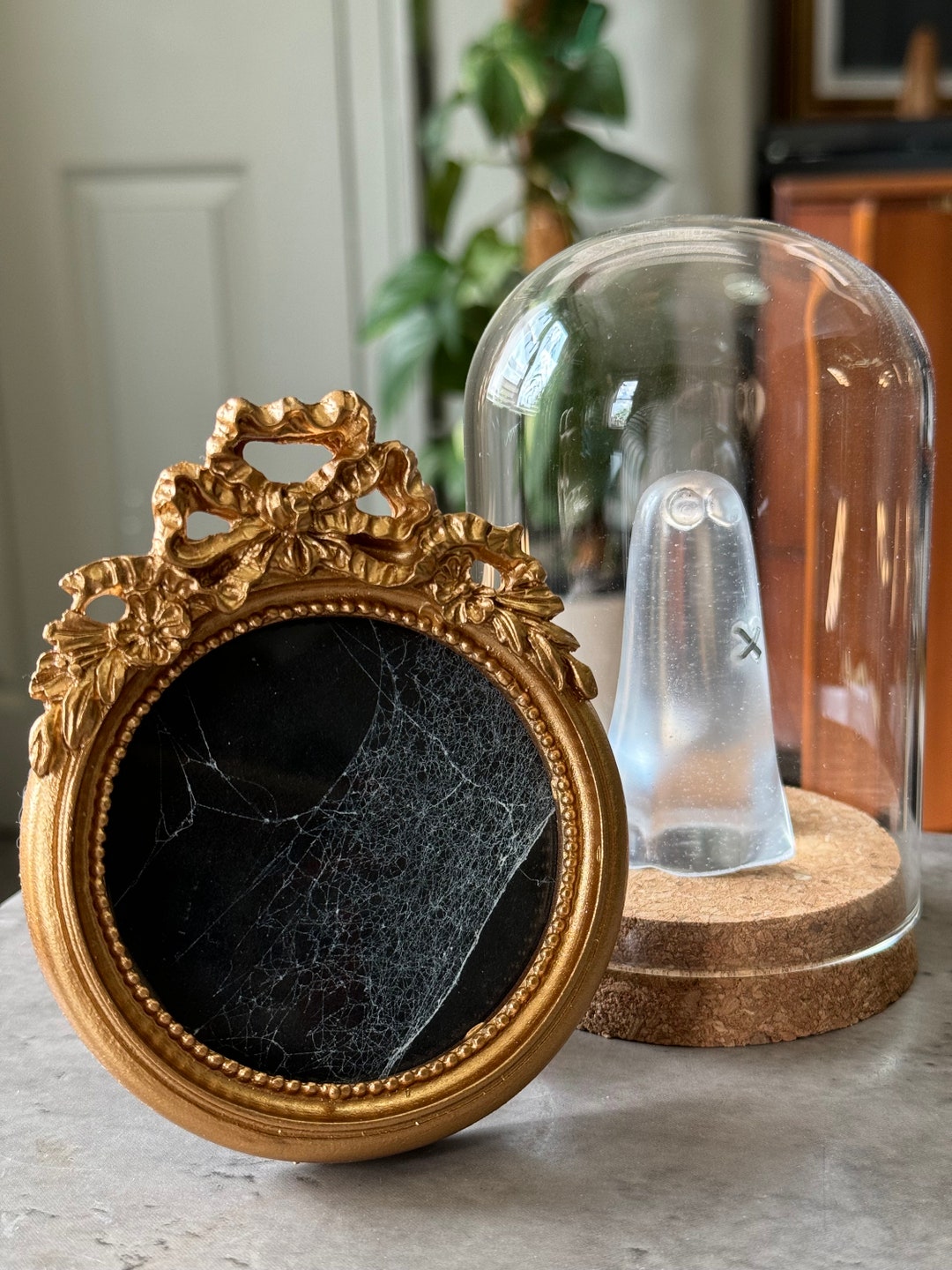 Actual Real Preserved Spiders Web Caught in a Gold Round Small Ornate ...