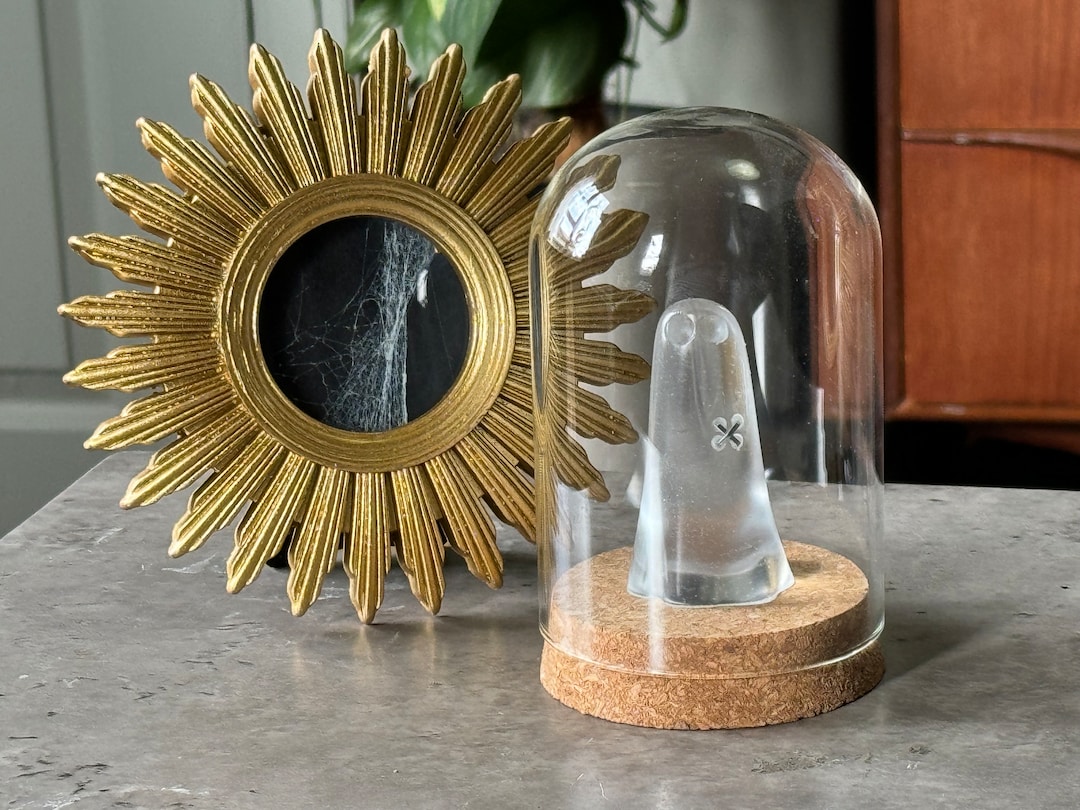 Actual Real Preserved Spiders Web Caught in a Sunburst Round Gold ...