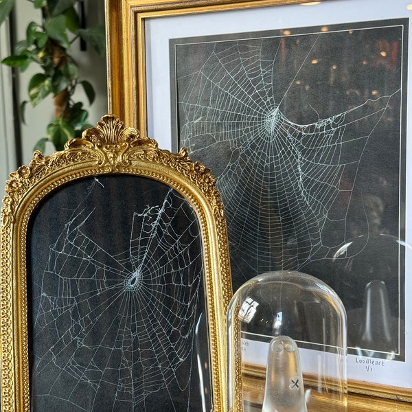 Framed Spider Web - Etsy